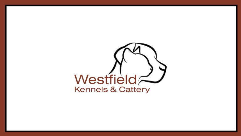 7 Leeds Dog Boarding Spots for Pups Who Need 5-Star Service [2026 ]